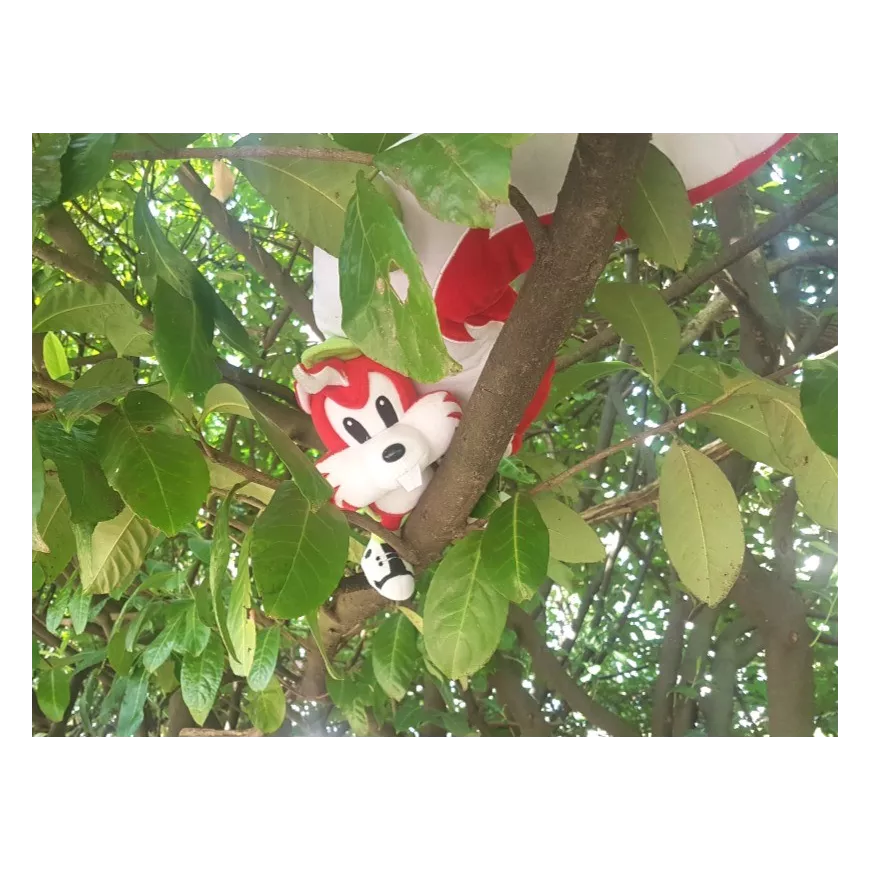 Mr. Nutz Official Plush